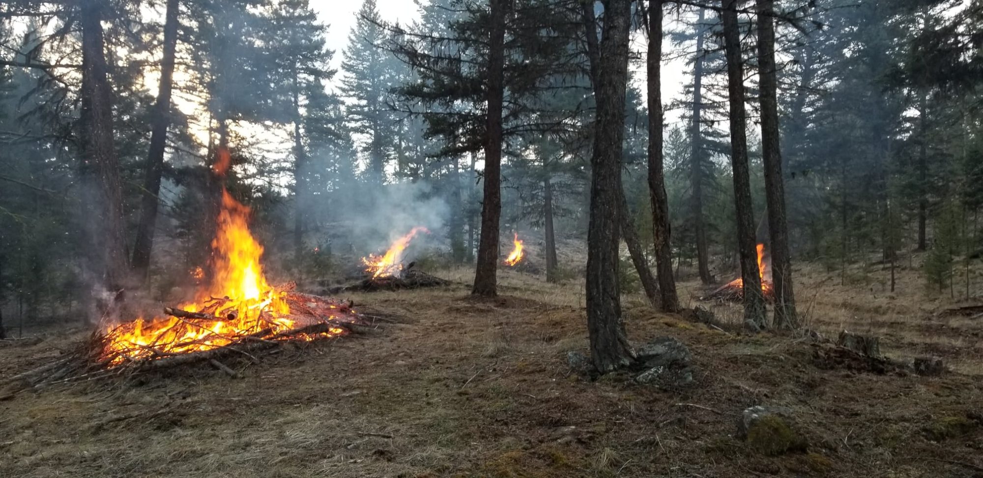 FireSmart Program : District of Logan Lake